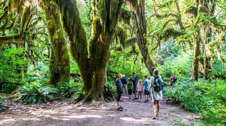 How Many National Parks in Washington - TripsTheWorld.com