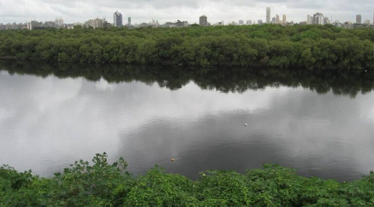 Why is Mithi River Important for Mumbai? - TripsTheWorld.com